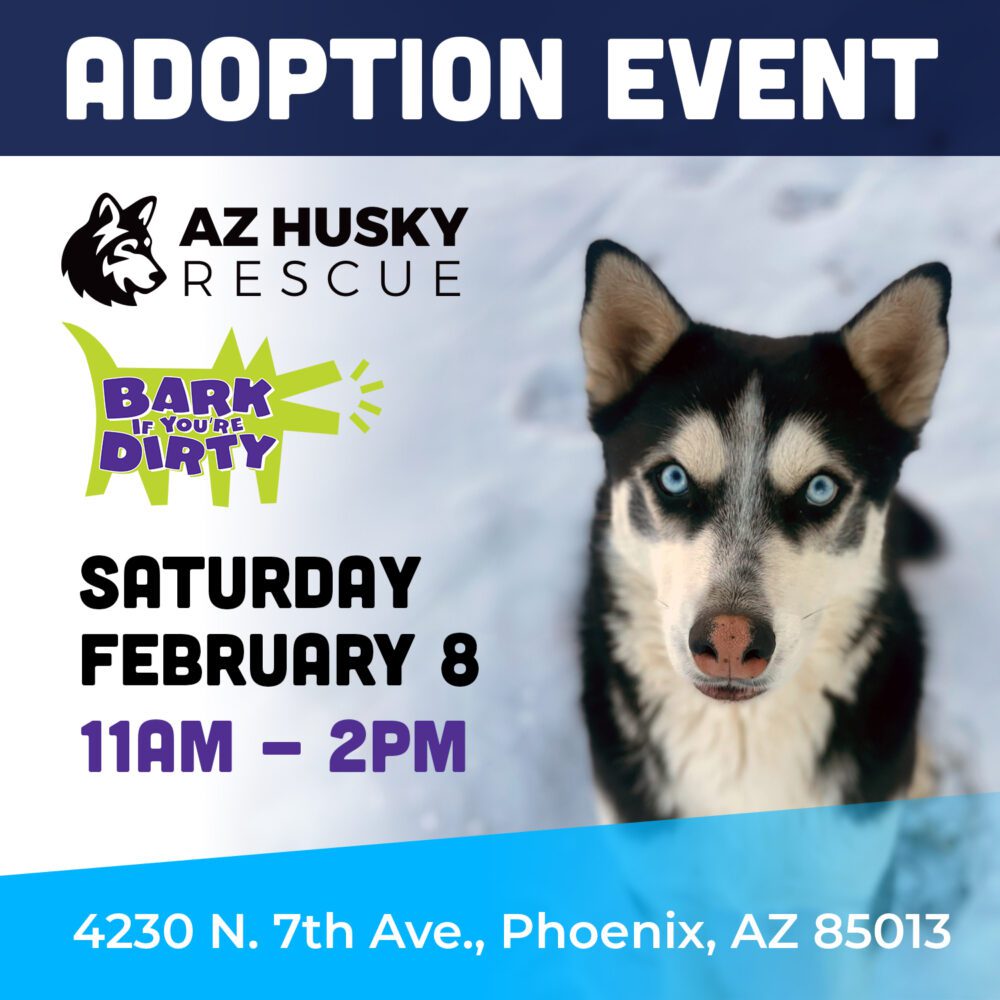 AZ Husky Rescue - Siberian Husky Rescue and Adoptions Arizona